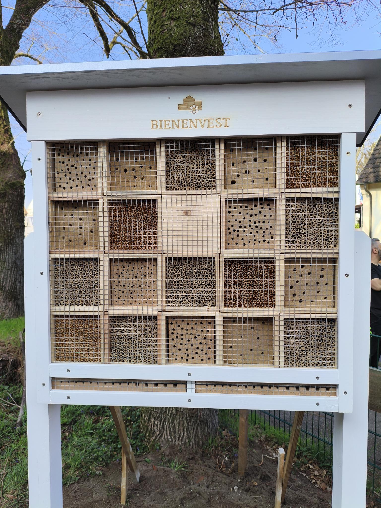 Ein Hotel für unsere Wildbienen - Montessori Campus Dorsten