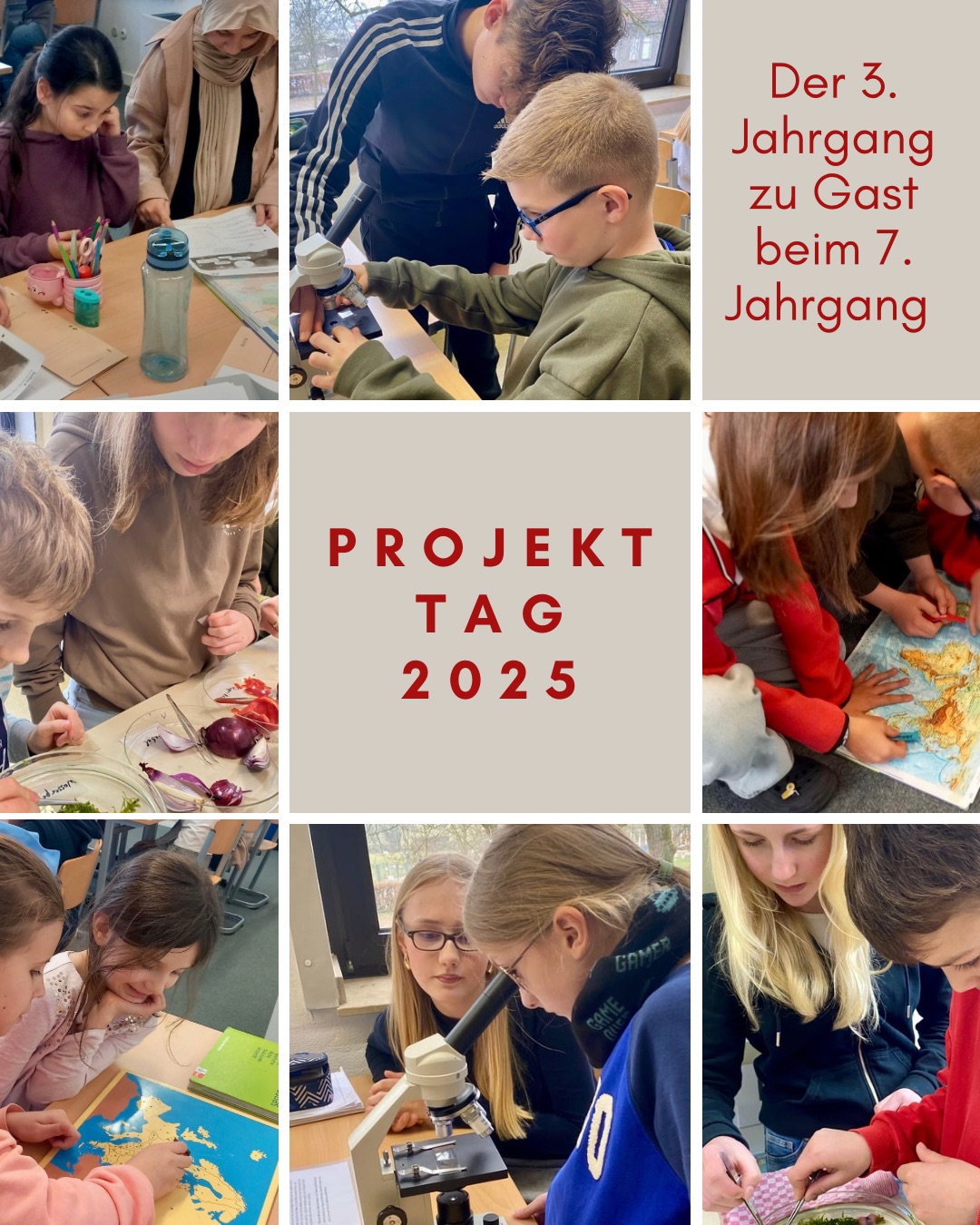 Projekttag 2025 🔬🌍 - Montessori Campus Dorsten
